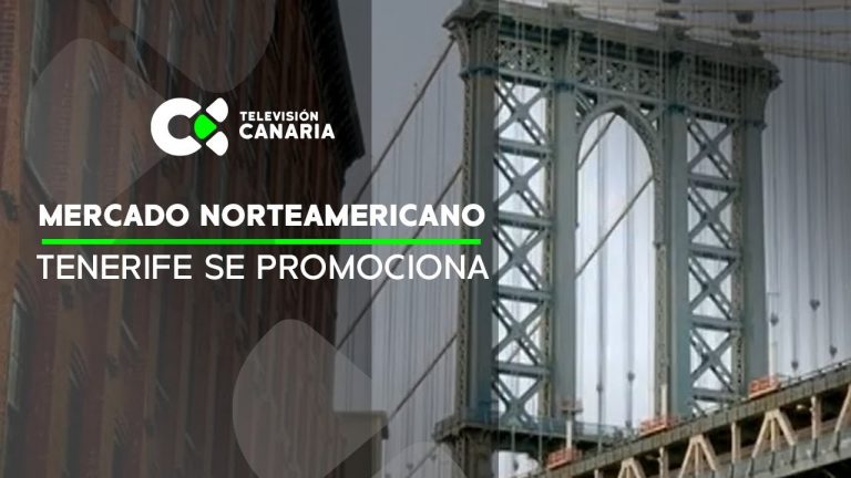 Viajes a miami desde tenerife | Actualizado mayo 2026